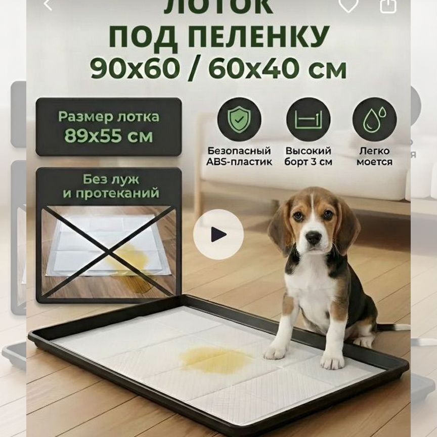 Лоток для собак